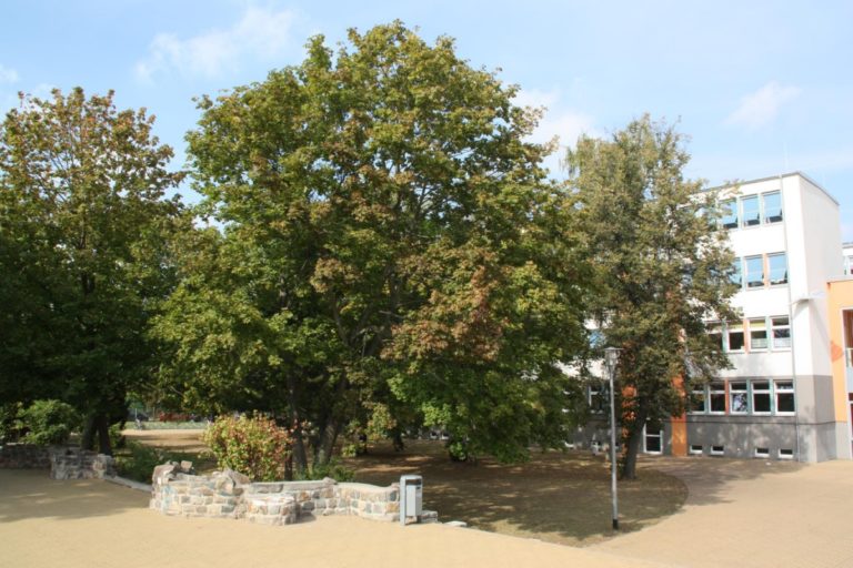 Fotogalerie | Geschwister-Scholl-Gymnasium Magdeburg
